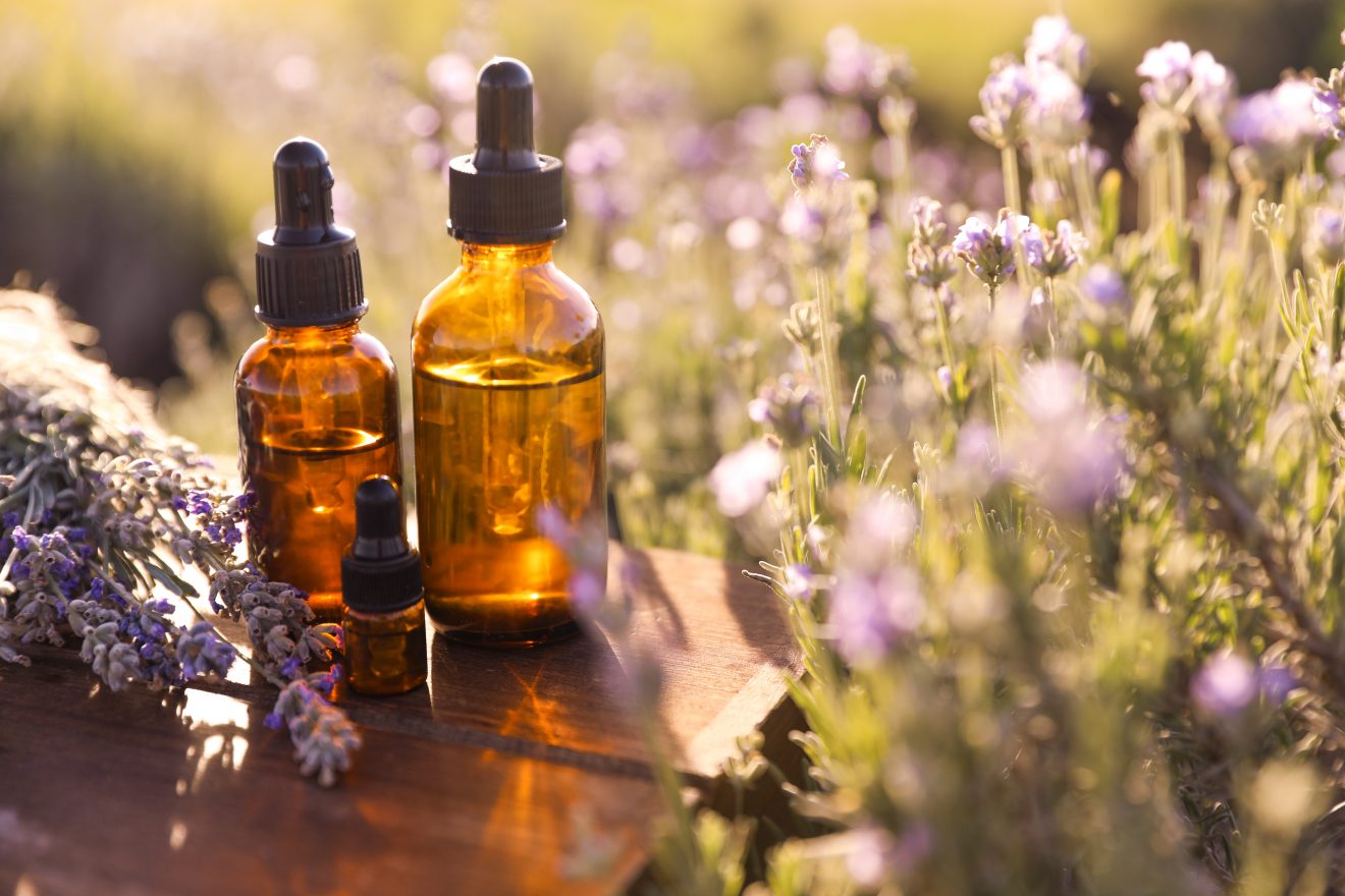 Essential Oils- Natural Pest Control! - Natures Oil Blog